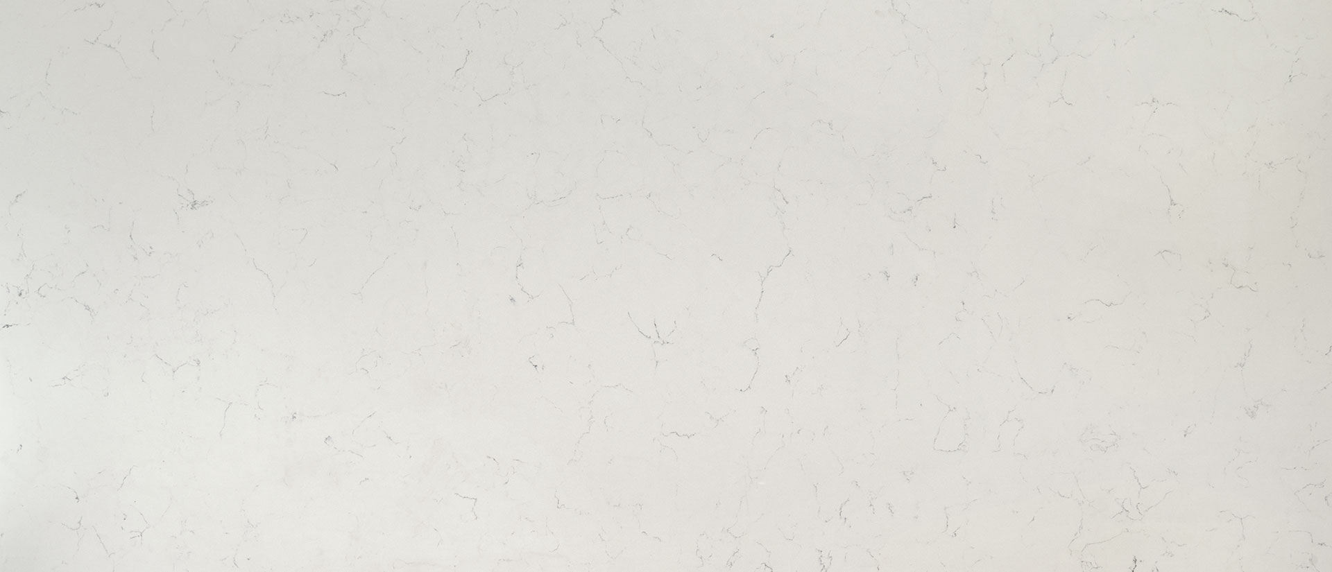 Carrara Delphi Countertop - MW Floors